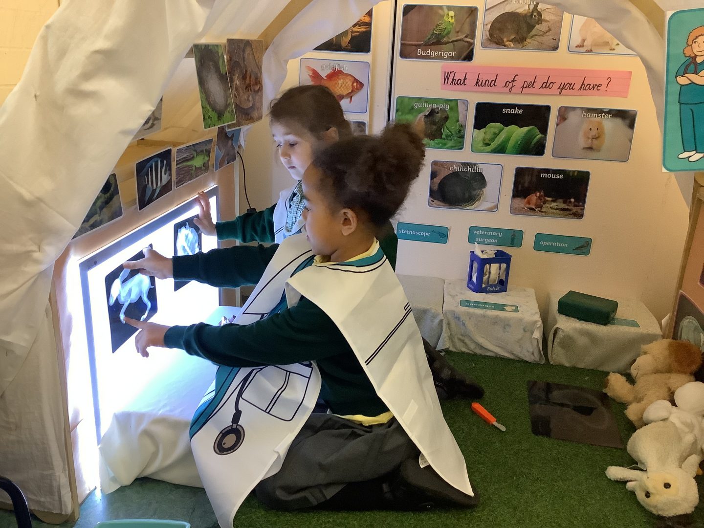 Southwold Primary School | EYFS Role Play In Their New Veterinary Clinic